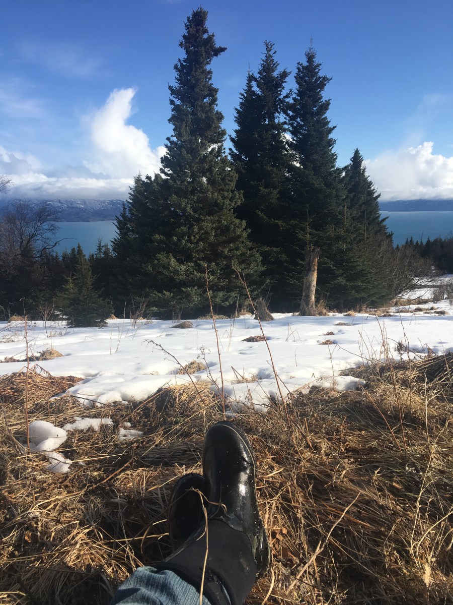 Five-Acre Almanac: Eastering – Lofty Minded in Alaska